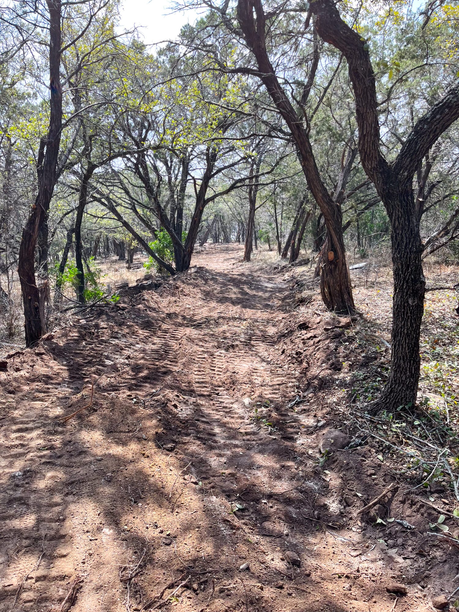 Introducing Spider Mountain’s NEW Beginner Trail! - Spider Mountain